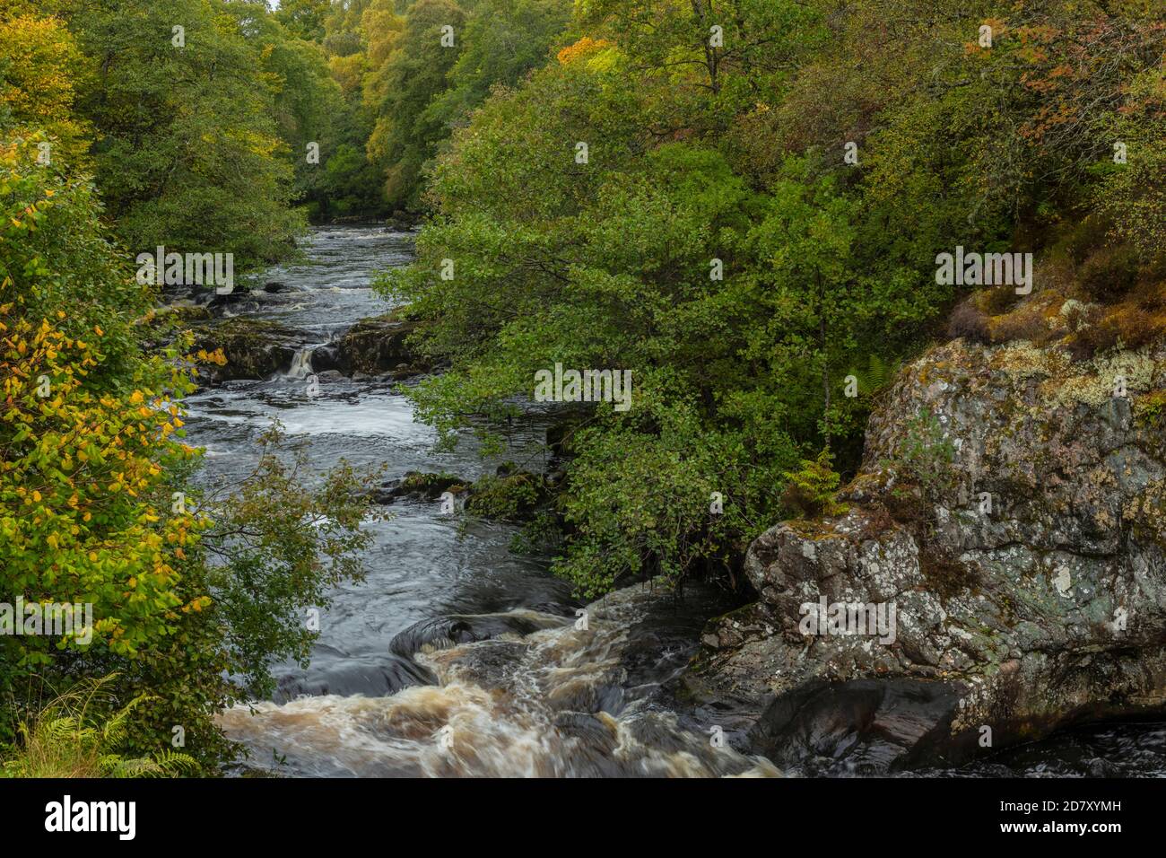 The Falls of Shin on the River Shin, near Lairg in autumn, Highland ...