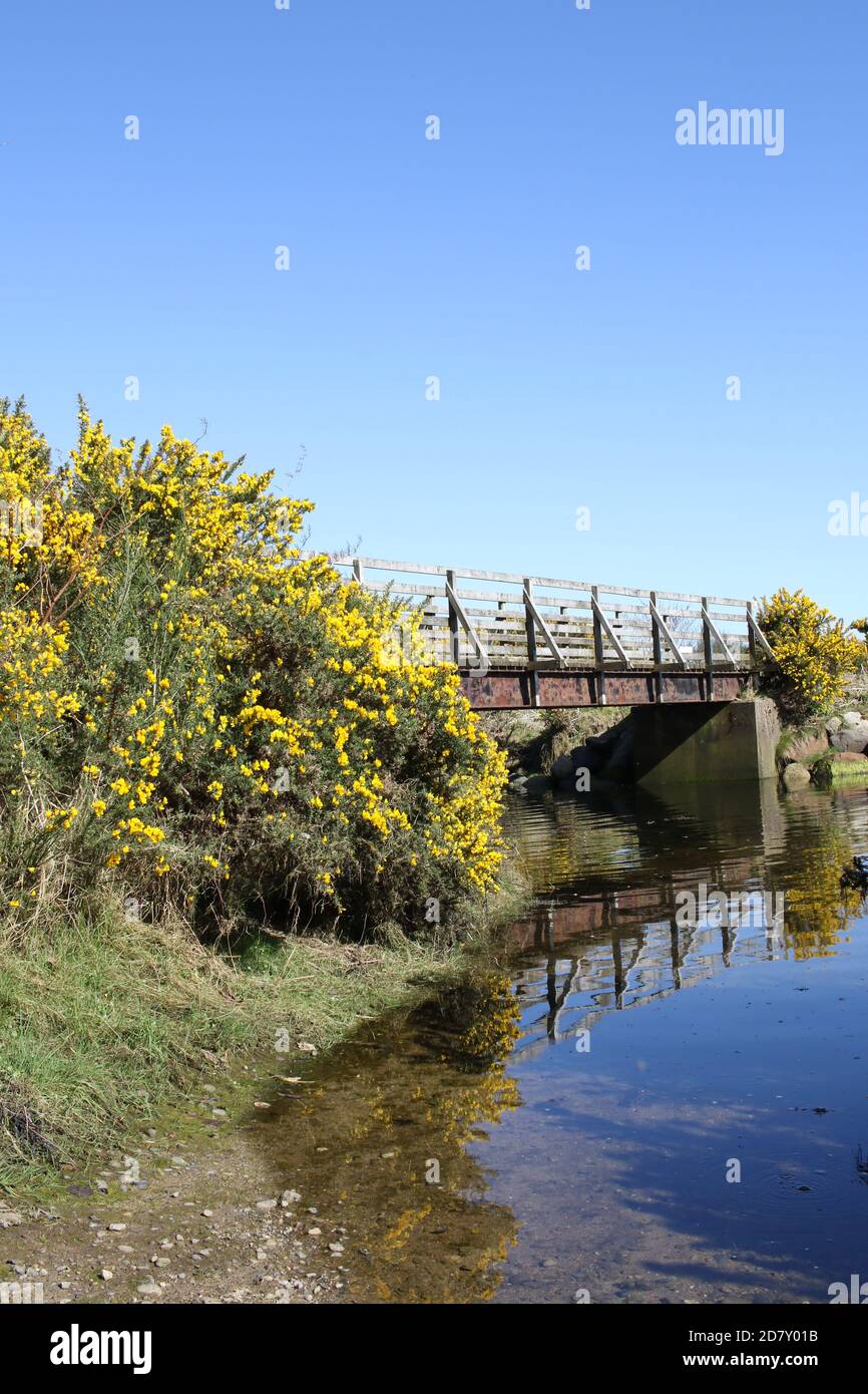 Bridge on hiking trail to the beach near Brodick, Isle of Arran ...