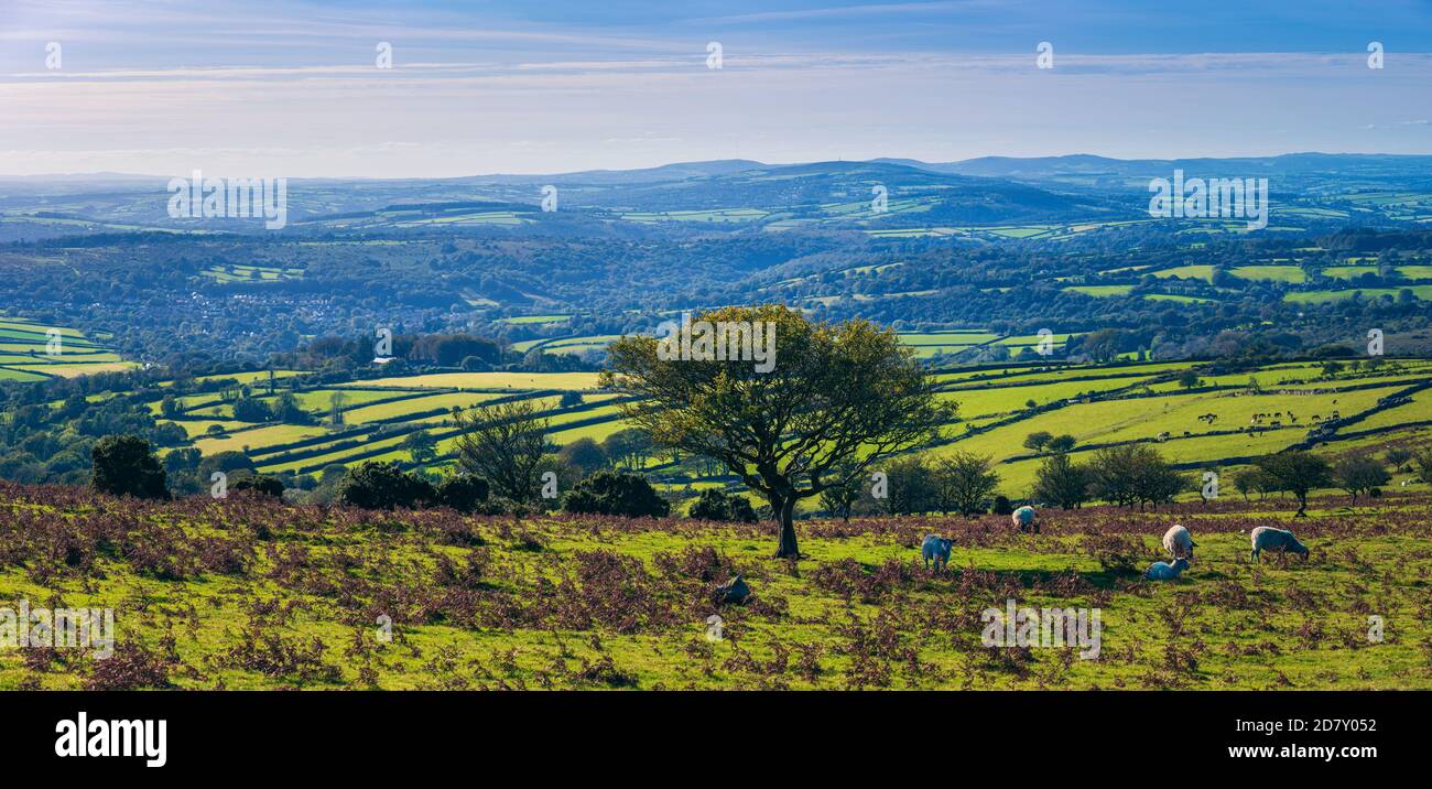 Burrator reservoir waterfall hi-res stock photography and images - Alamy