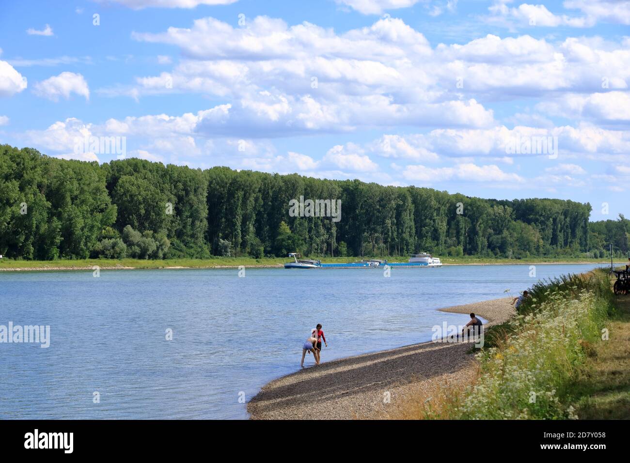 July 09 2020 - Germersheim/Germany: people swimming in the Rhine river ...