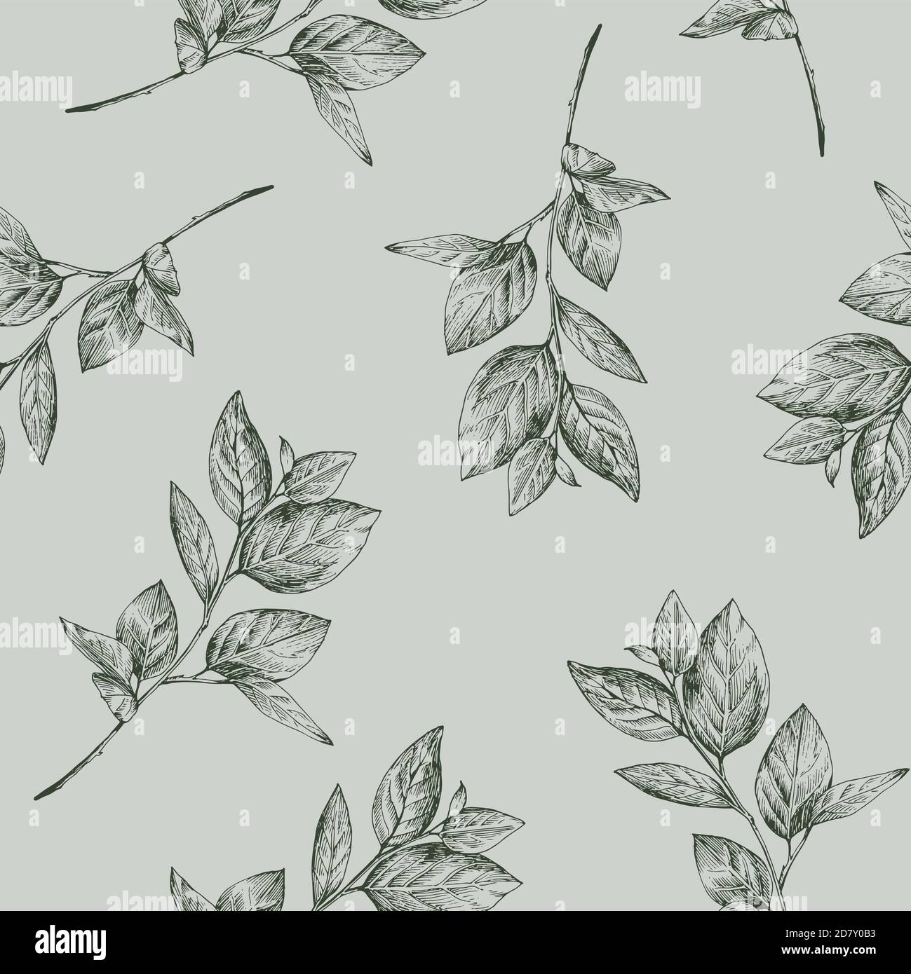 Hand drawn leaf pattern hi-res stock photography and images - Alamy