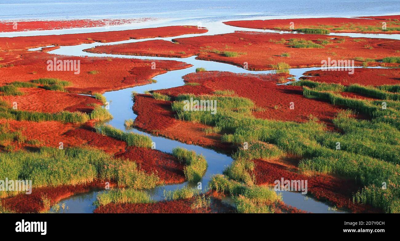 China panjin red beach hi-res stock photography and images - Alamy