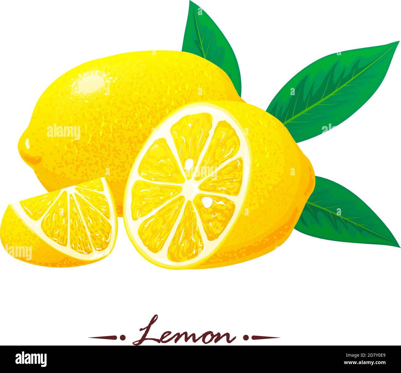 Lemon Icon Vector