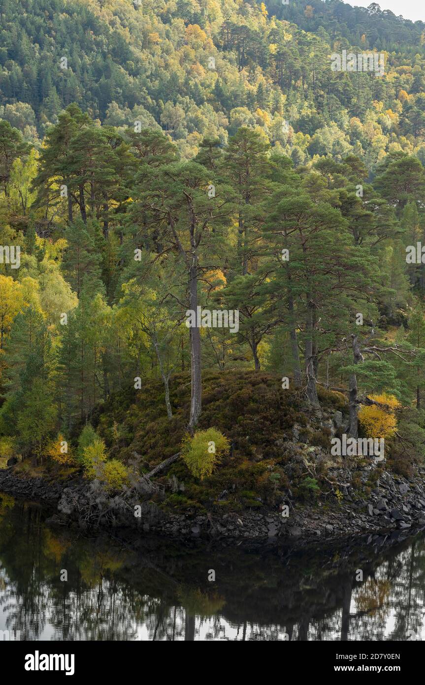 Scots scottish sssi hi-res stock photography and images - Alamy