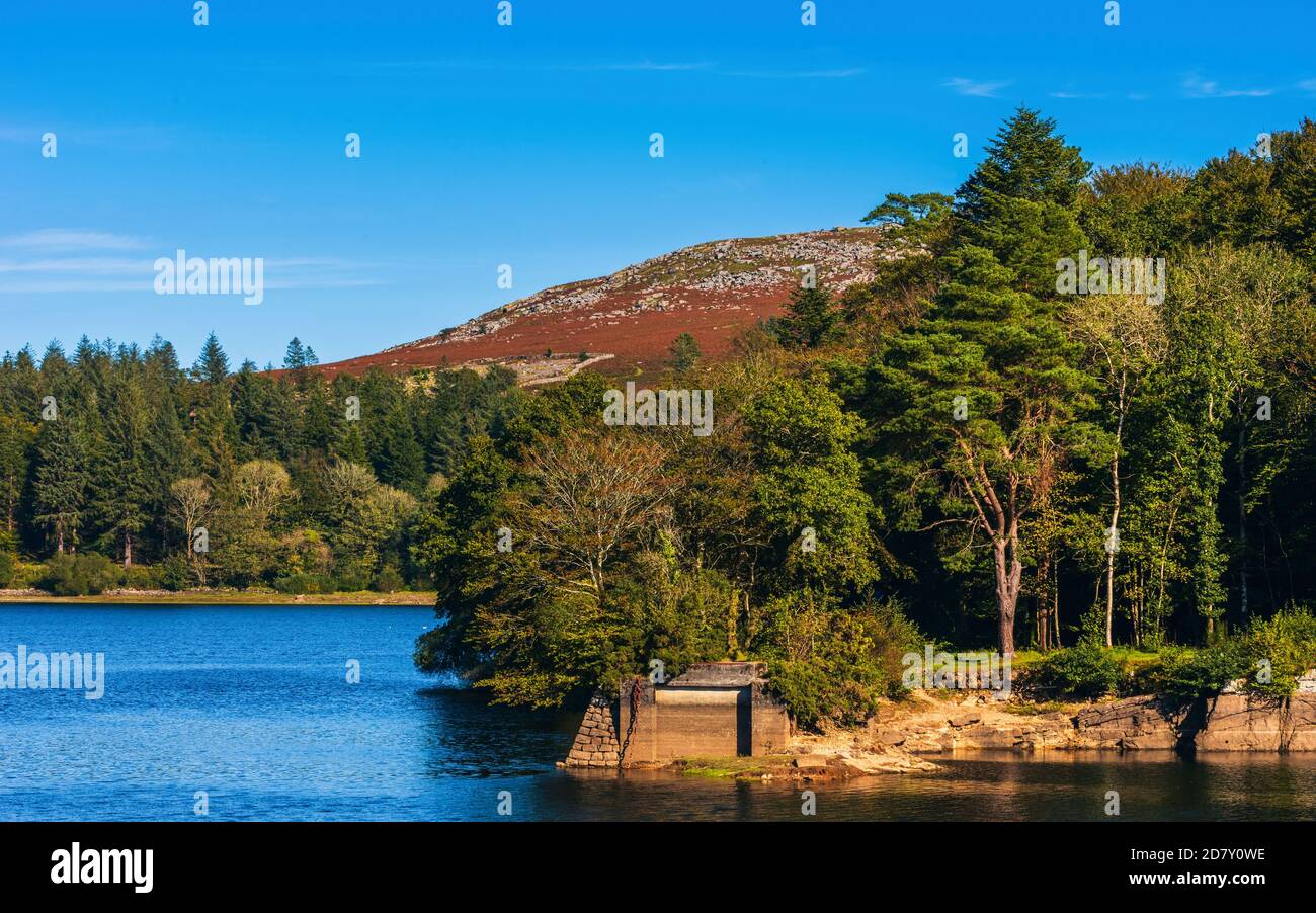 Burrator reservoir dartmoor national park hi-res stock photography and ...
