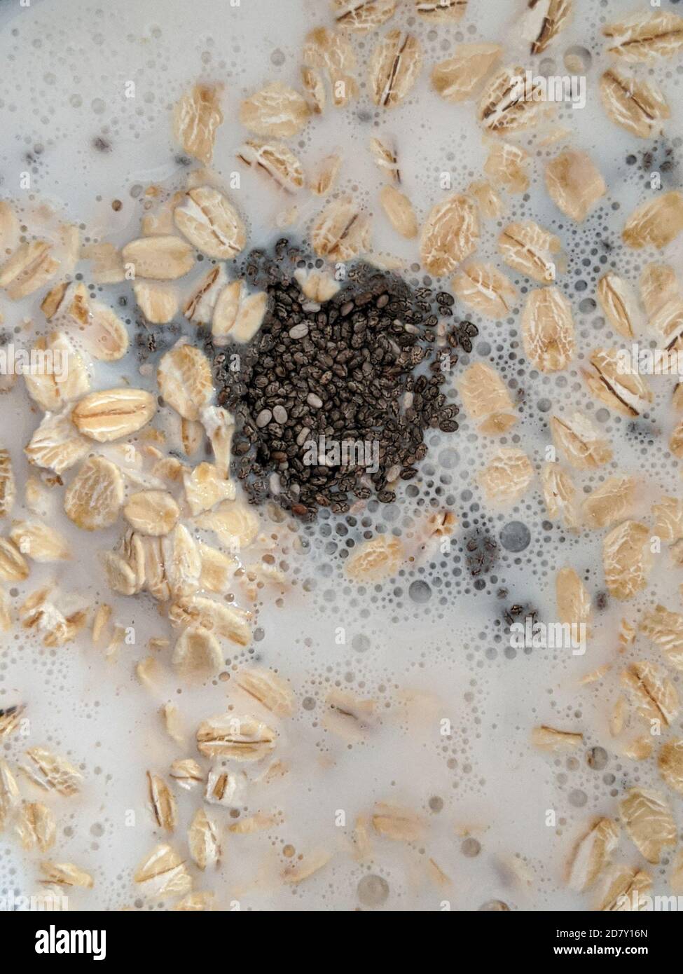 Weevils In Oatmeal