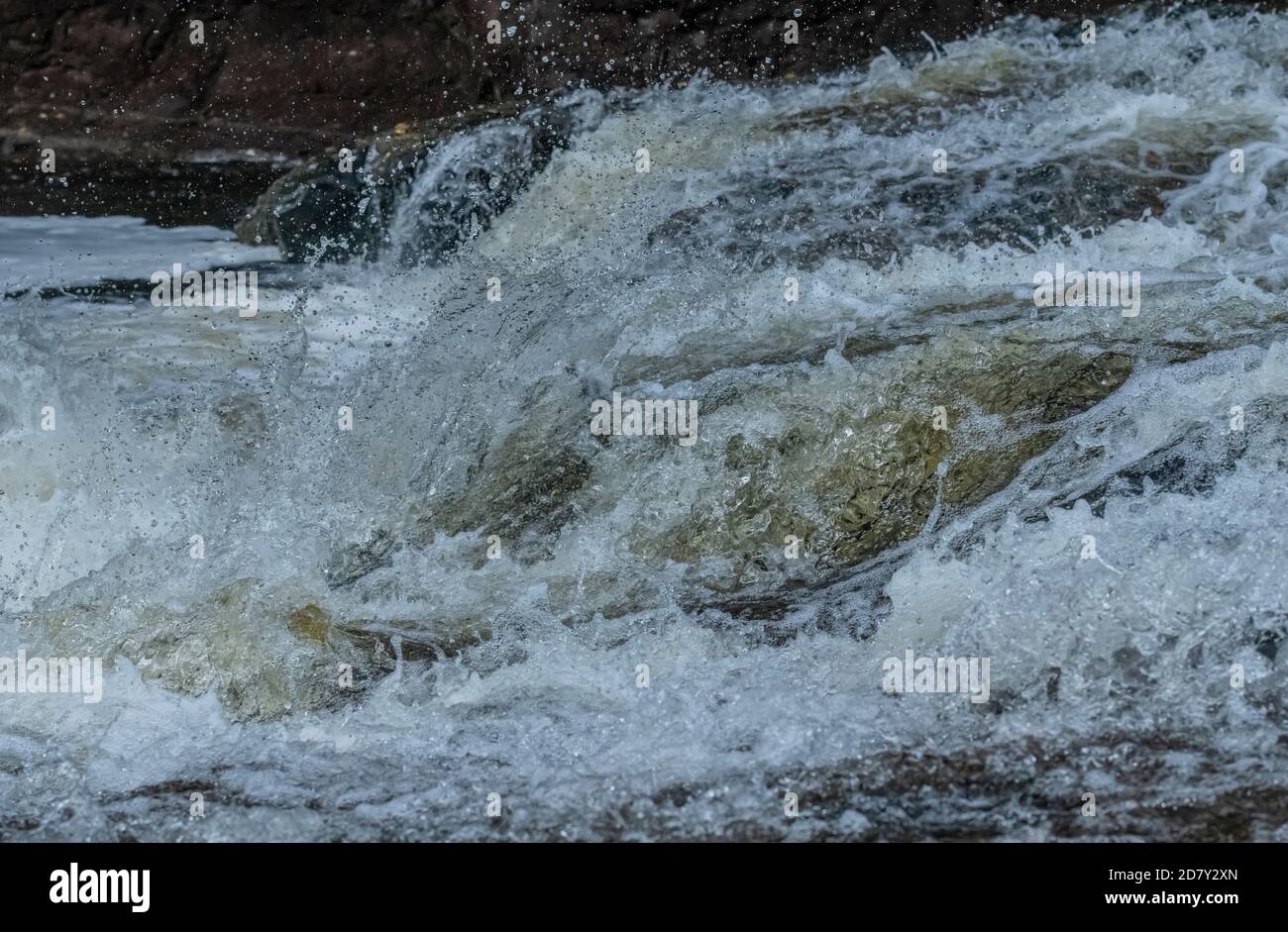 River almond hi-res stock photography and images - Alamy