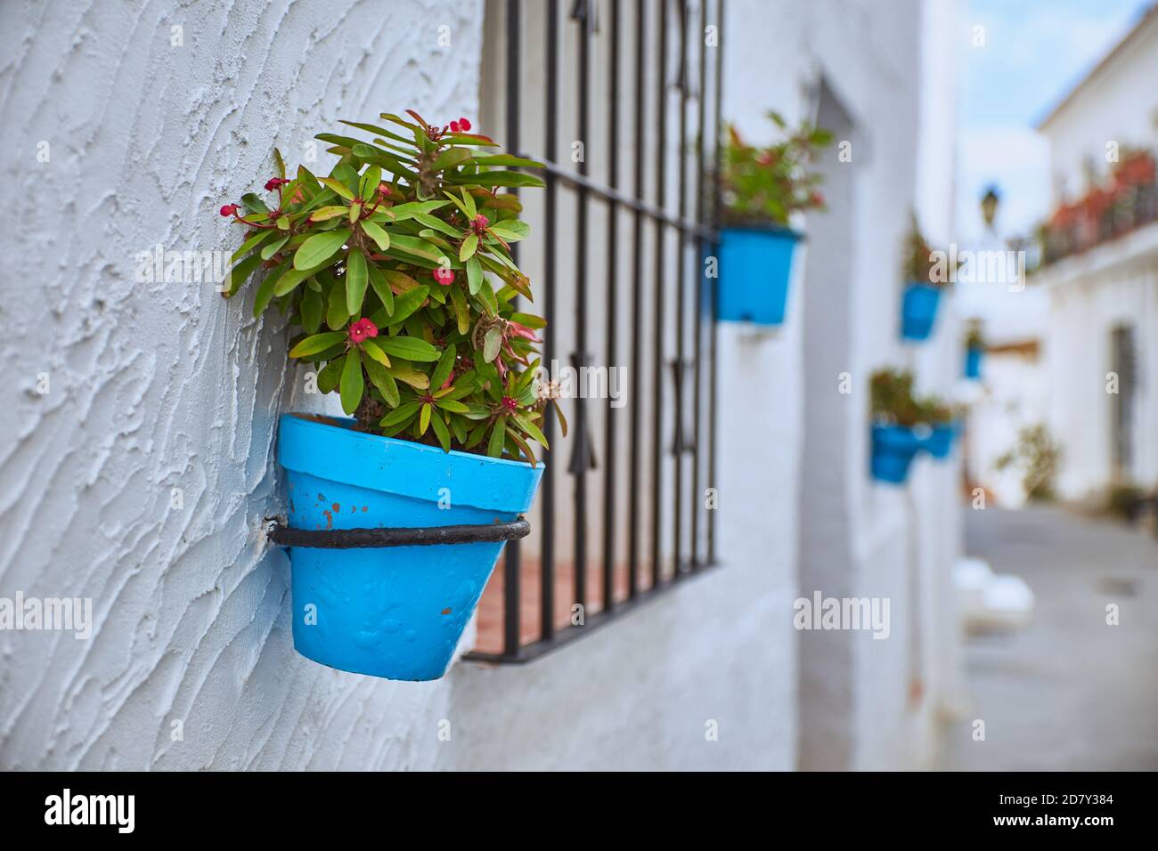 photography of flower pots Stock Photo - Alamy