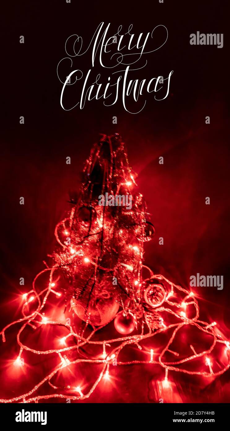 christmas card, banner, flat lay, with text - Merry Christmas. light ...