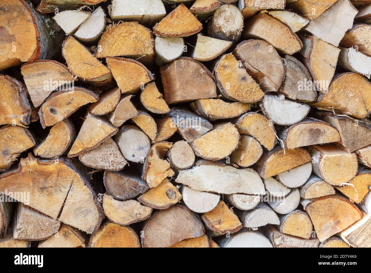 Chopped logs stacked drying in hi-res stock photography and images - Alamy