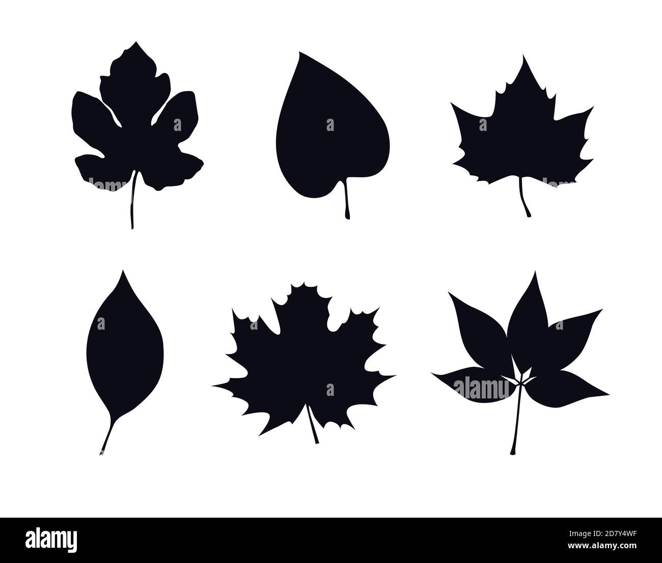 Autumn leaf icons set Cut Out Stock Images & Pictures - Alamy