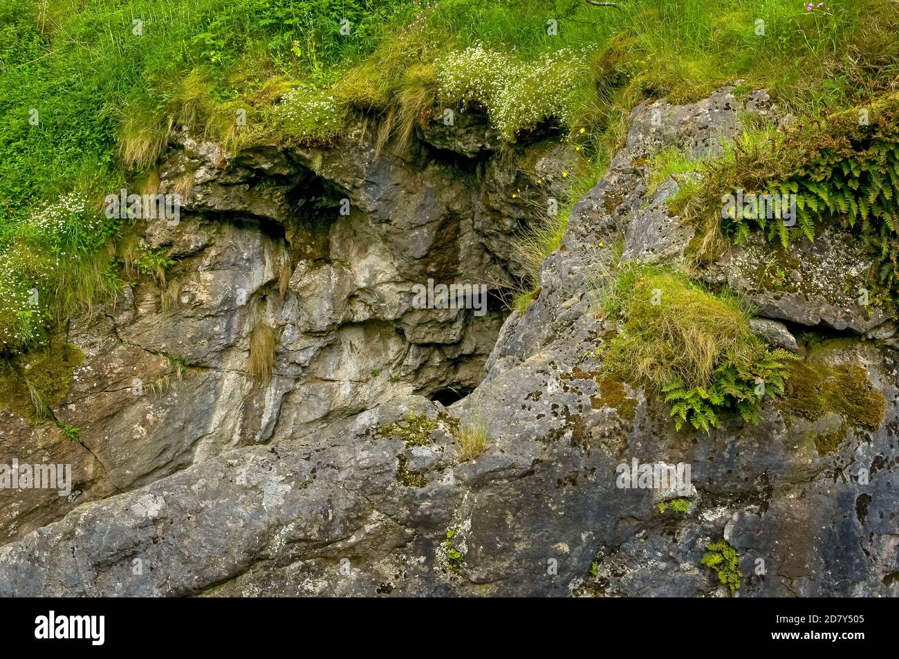 The deep and spectacular opencut at Odin Mine, Castleton, viewed from ...