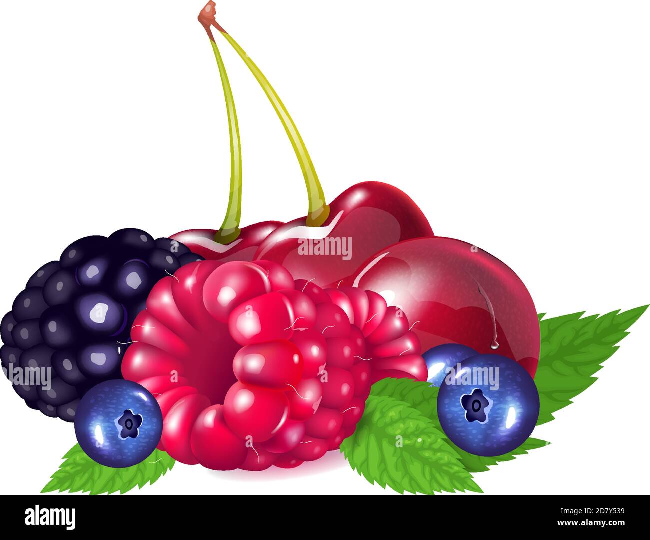 Ripe berries realistic vector illustration Stock Vector Image & Art - Alamy