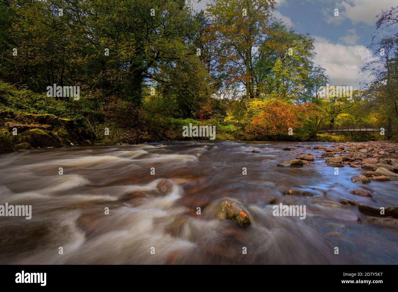 River tawe hi-res stock photography and images - Alamy