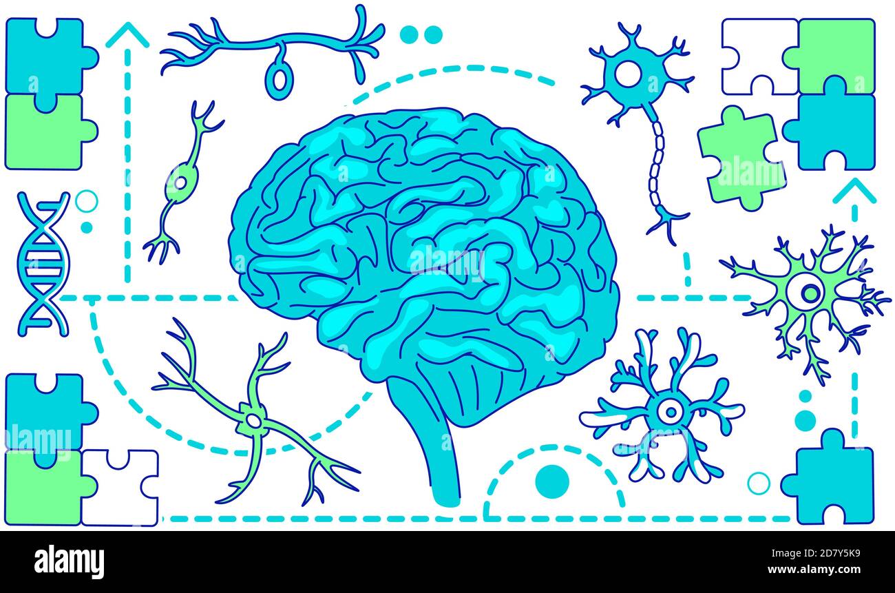 Neurology, neuroscience thin line concept vector illustration Stock ...