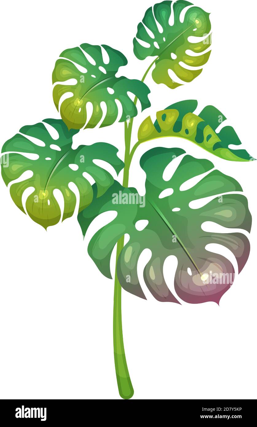 Jungle vegetation cartoon vector illustration Stock Vector Image & Art ...