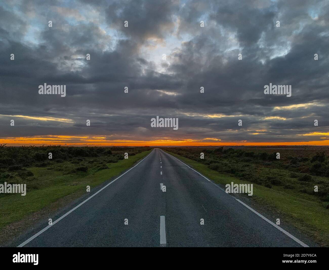 New forest road hi-res stock photography and images - Alamy