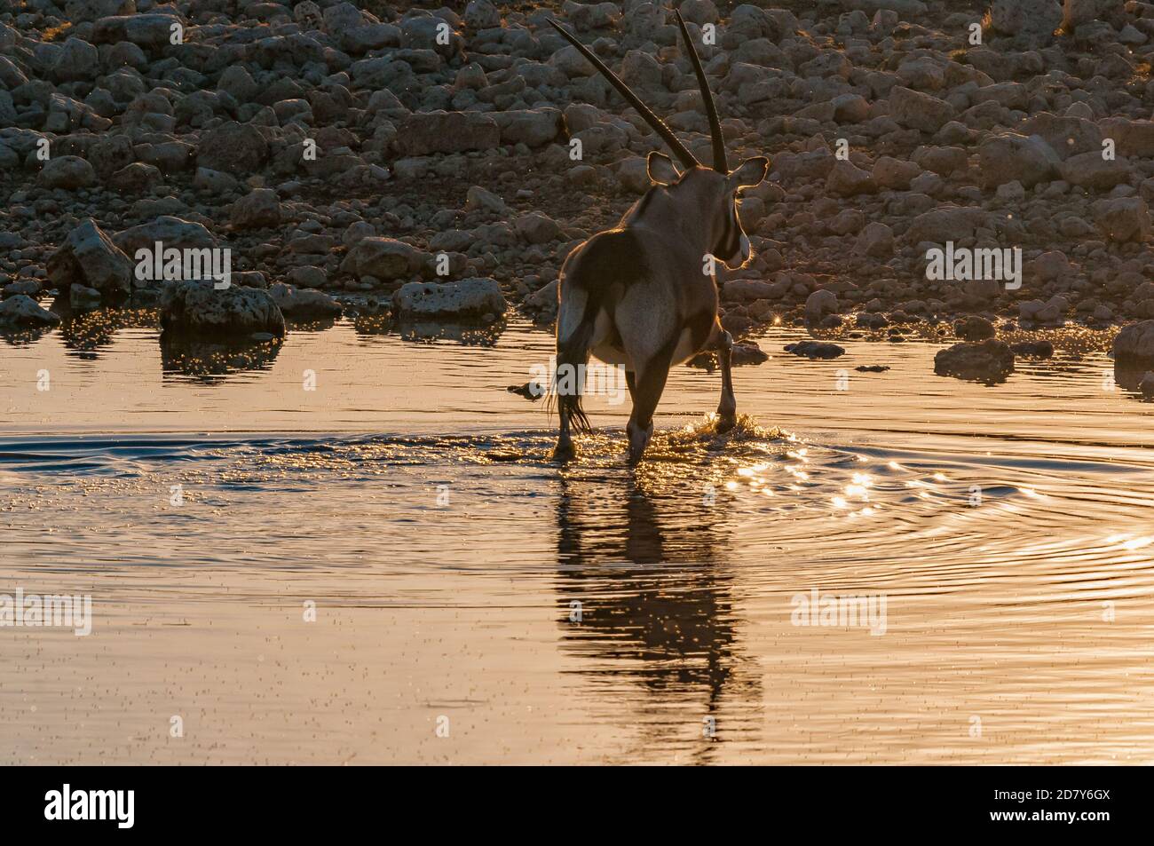 Africa namibia waterhole scenery countryside hi-res stock photography ...
