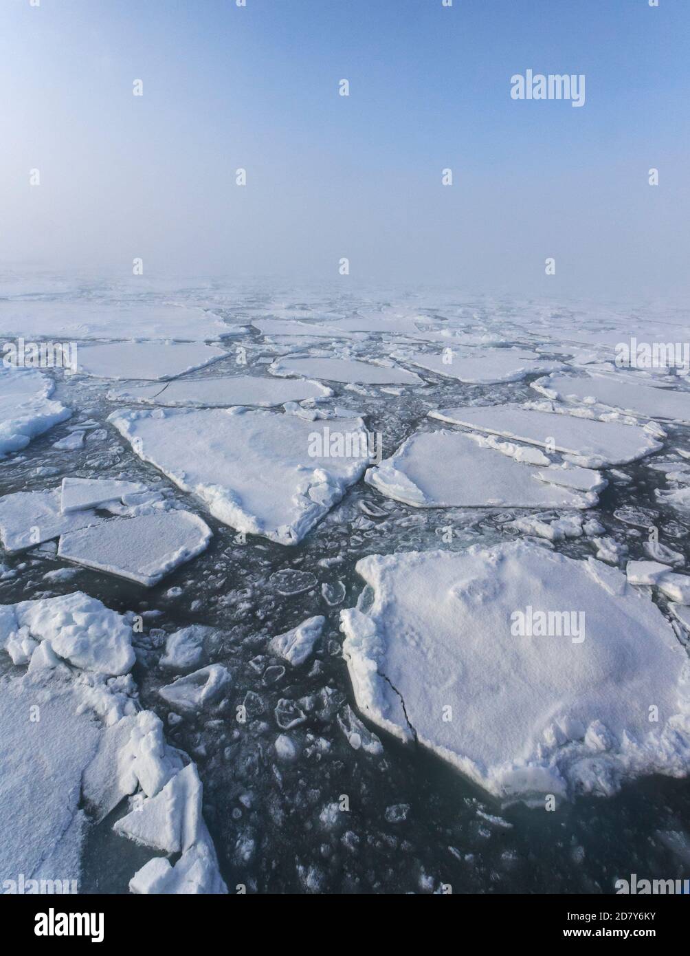 Icebergs floating the Arctic ocean. Snow-covered pack-ice pieces float ...