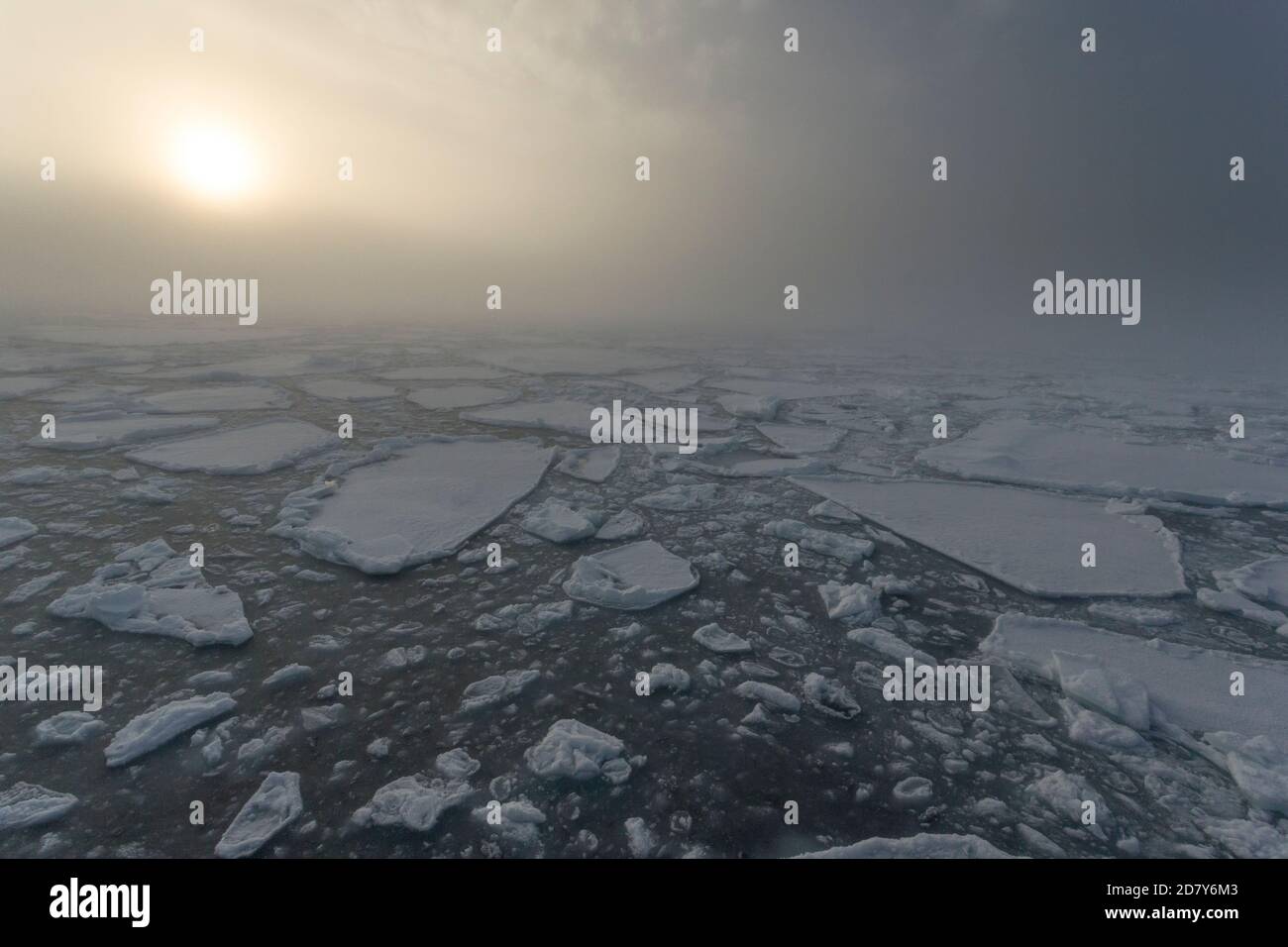 Pack-ice is floating in the Arctic sea. The backdrop is thick fog ...