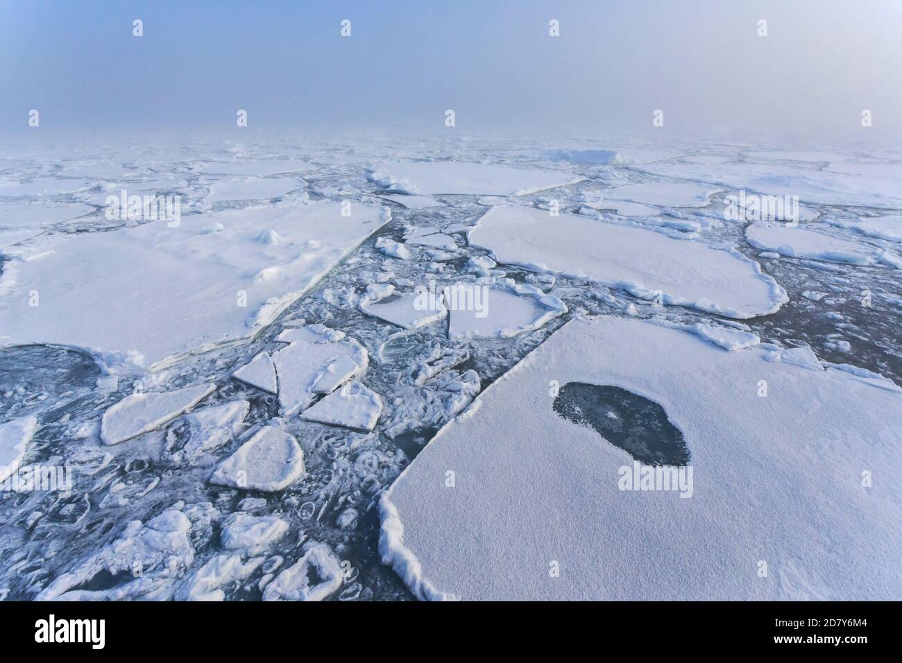 Pack ice landscape, icebergs floating in the Arctic sea, between ice ...