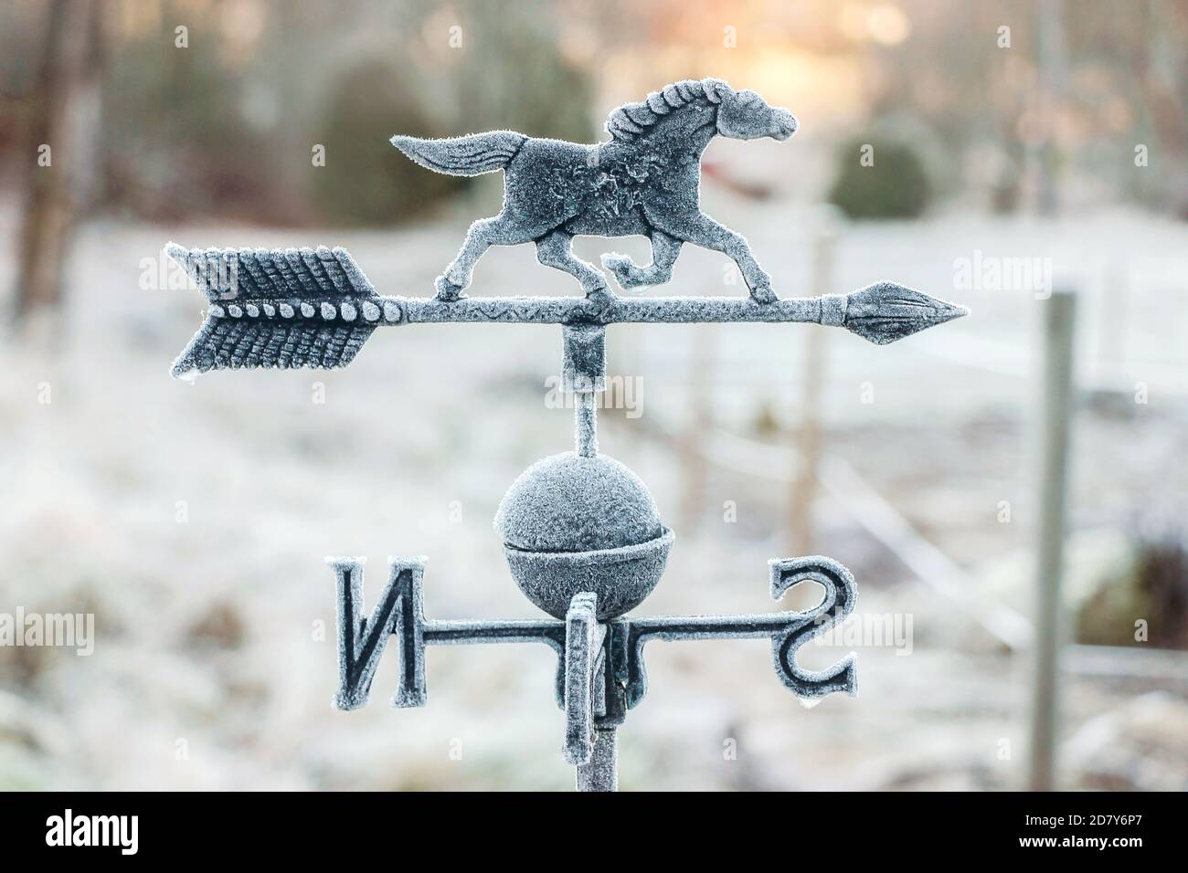 ice on decoration horse roof compass in winter Stock Photo - Alamy
