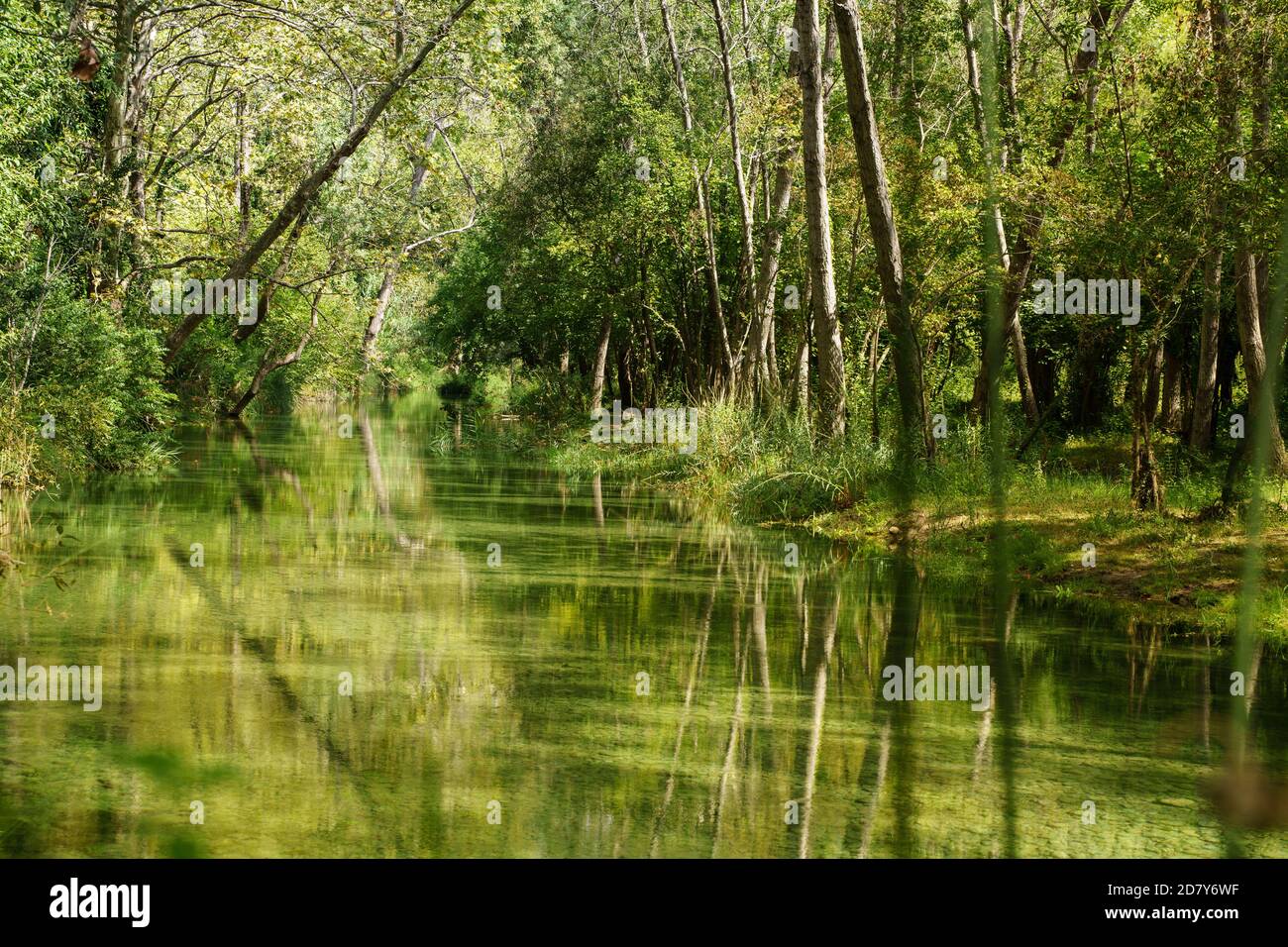 Calm small lagoon on river hi-res stock photography and images - Alamy