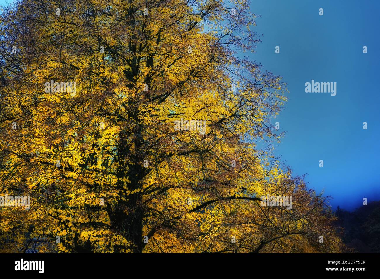 Herbststimmung in der Nähe der Stadt Zürich - Autumn mood near the ...