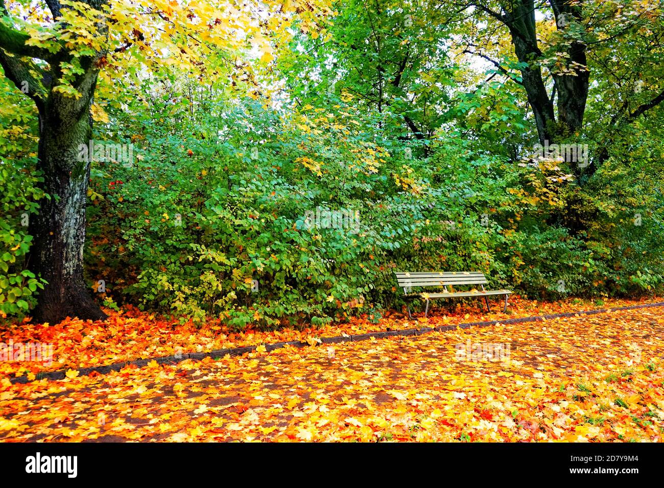Herbststimmung in der Nähe der Stadt Zürich - Autumn mood near the ...