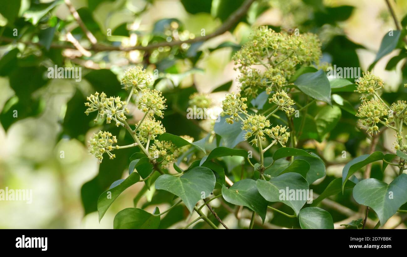 Unedited mountain photography hi-res stock photography and images - Alamy