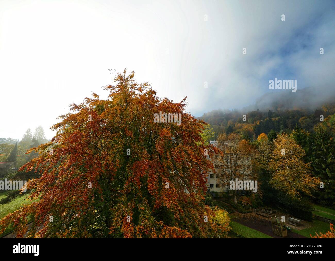 Herbststimmung in der Nähe der Stadt Zürich - Autumn mood near the ...