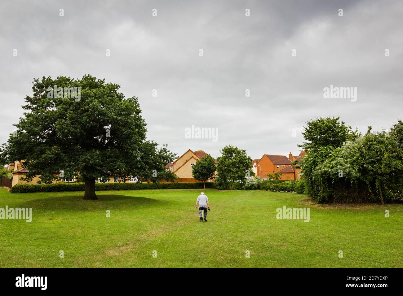 Old man walking alone in a park hi-res stock photography and images - Alamy