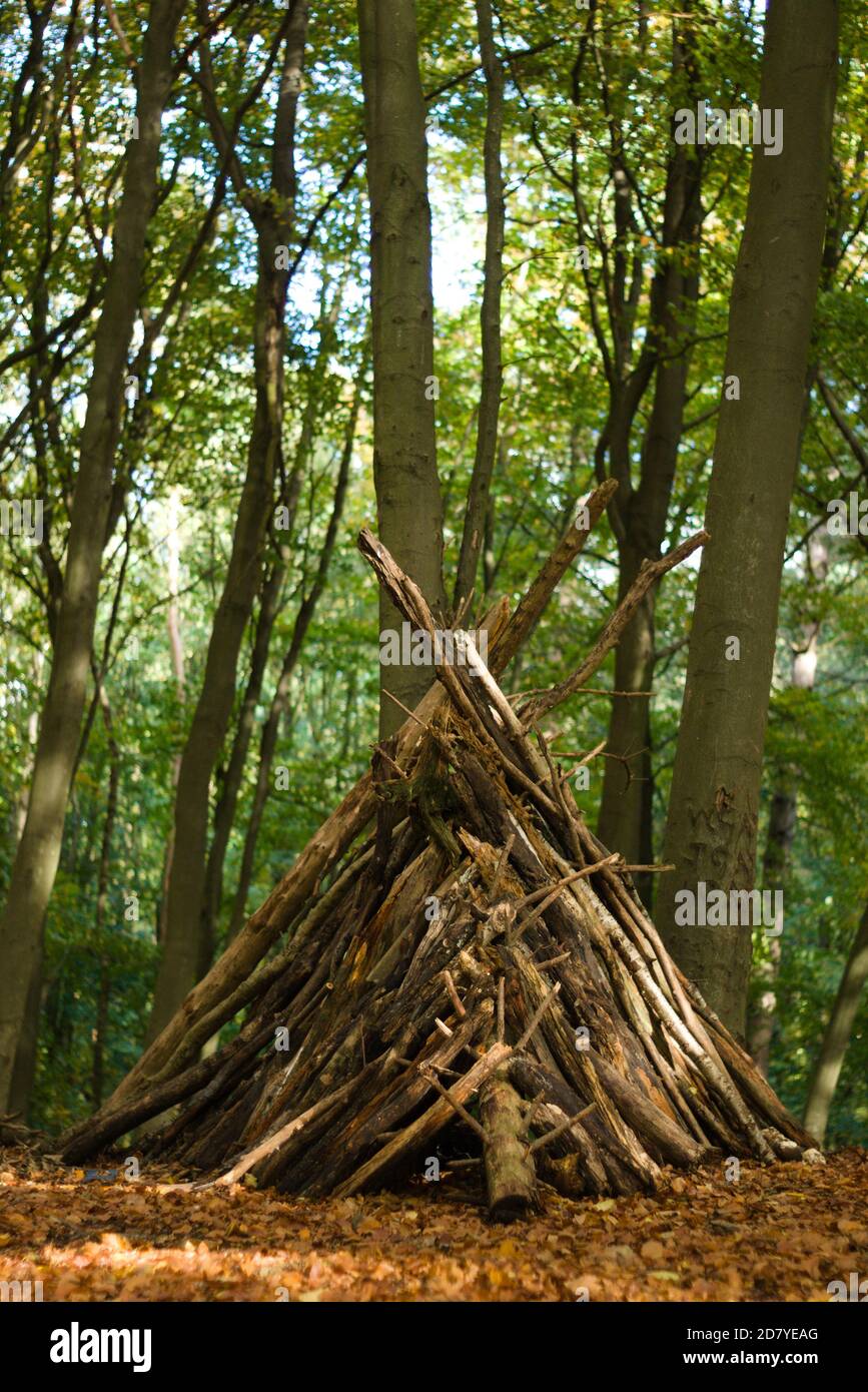 Woodland camp made from sticks Stock Photo - Alamy