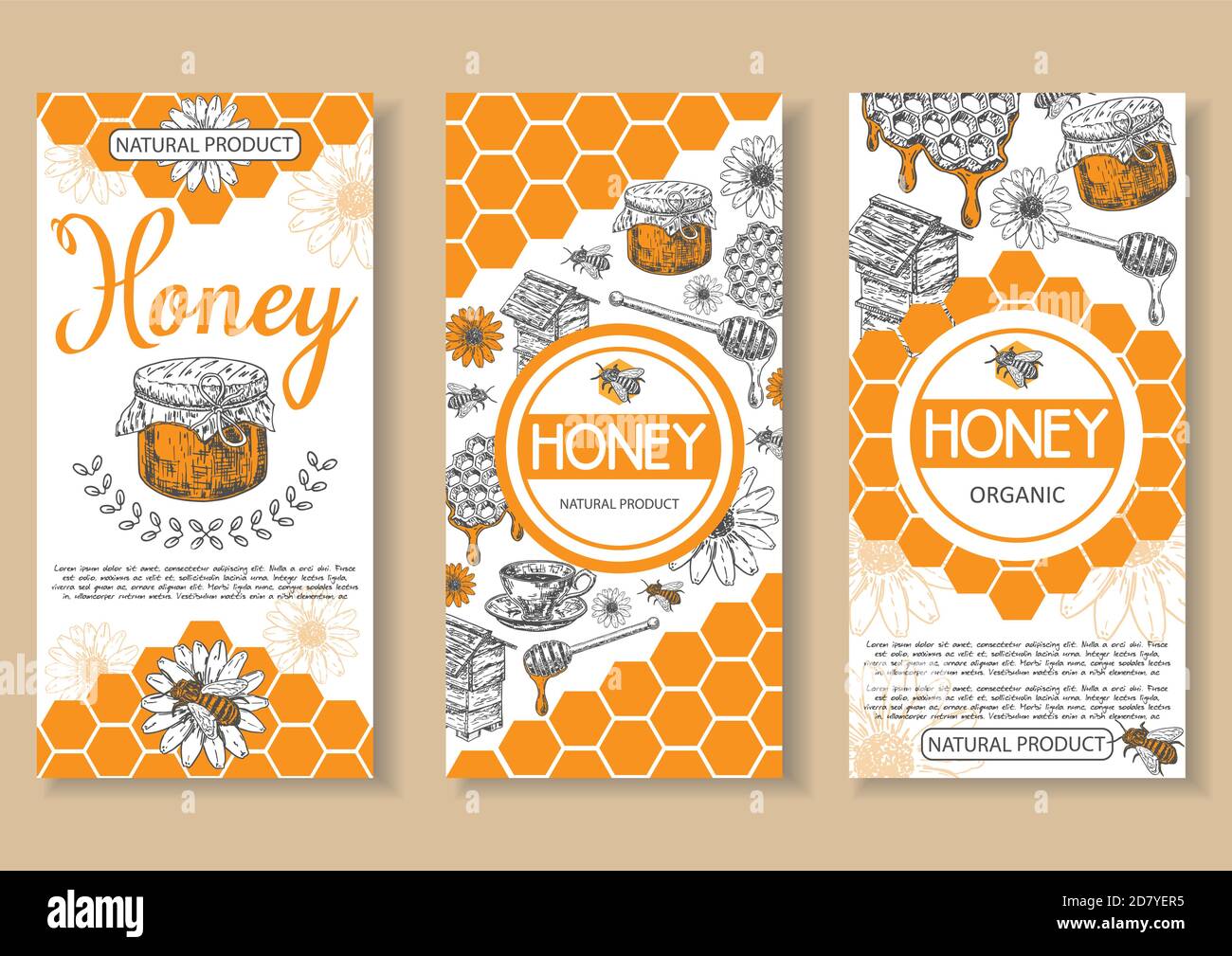 Bee natural honey vector hand drawn flyer set Stock Vector Image & Art ...