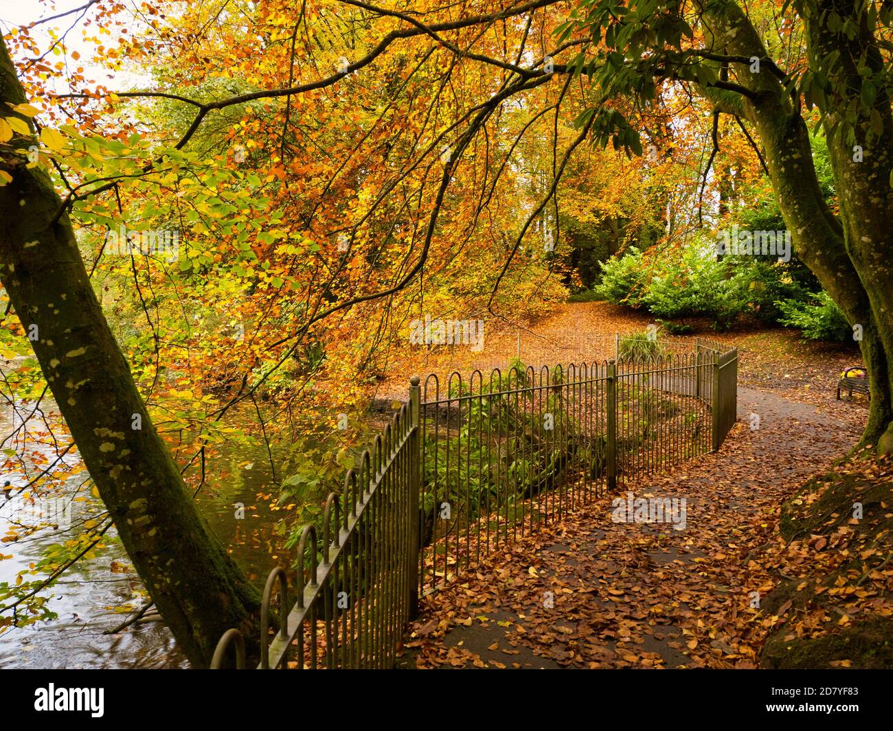 October autumn scene in Rozelle Public Park Ayr, Scotland on a Sunday ...