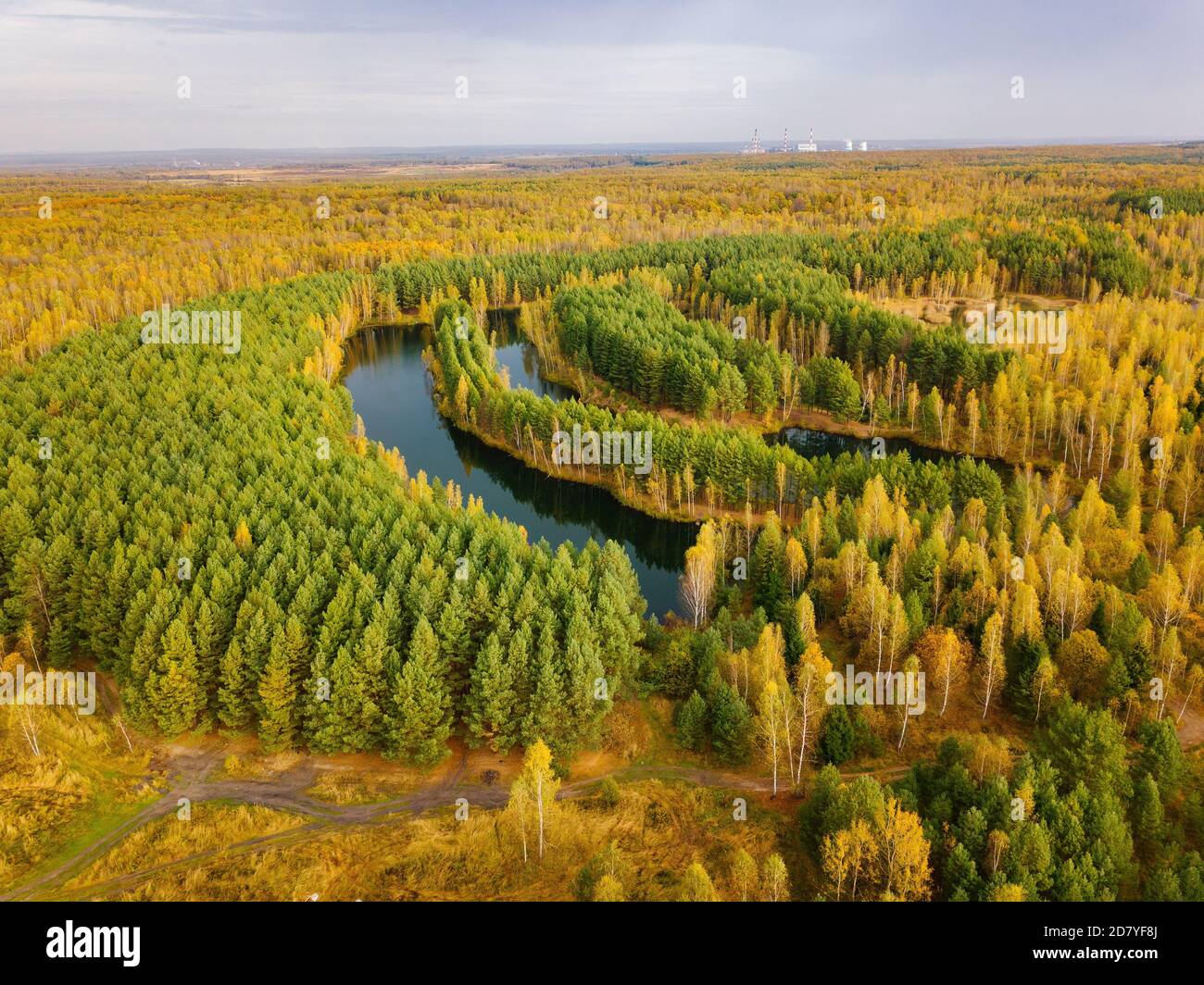 Pine Trees Birds Eye View High Resolution Stock Photography and Images ...