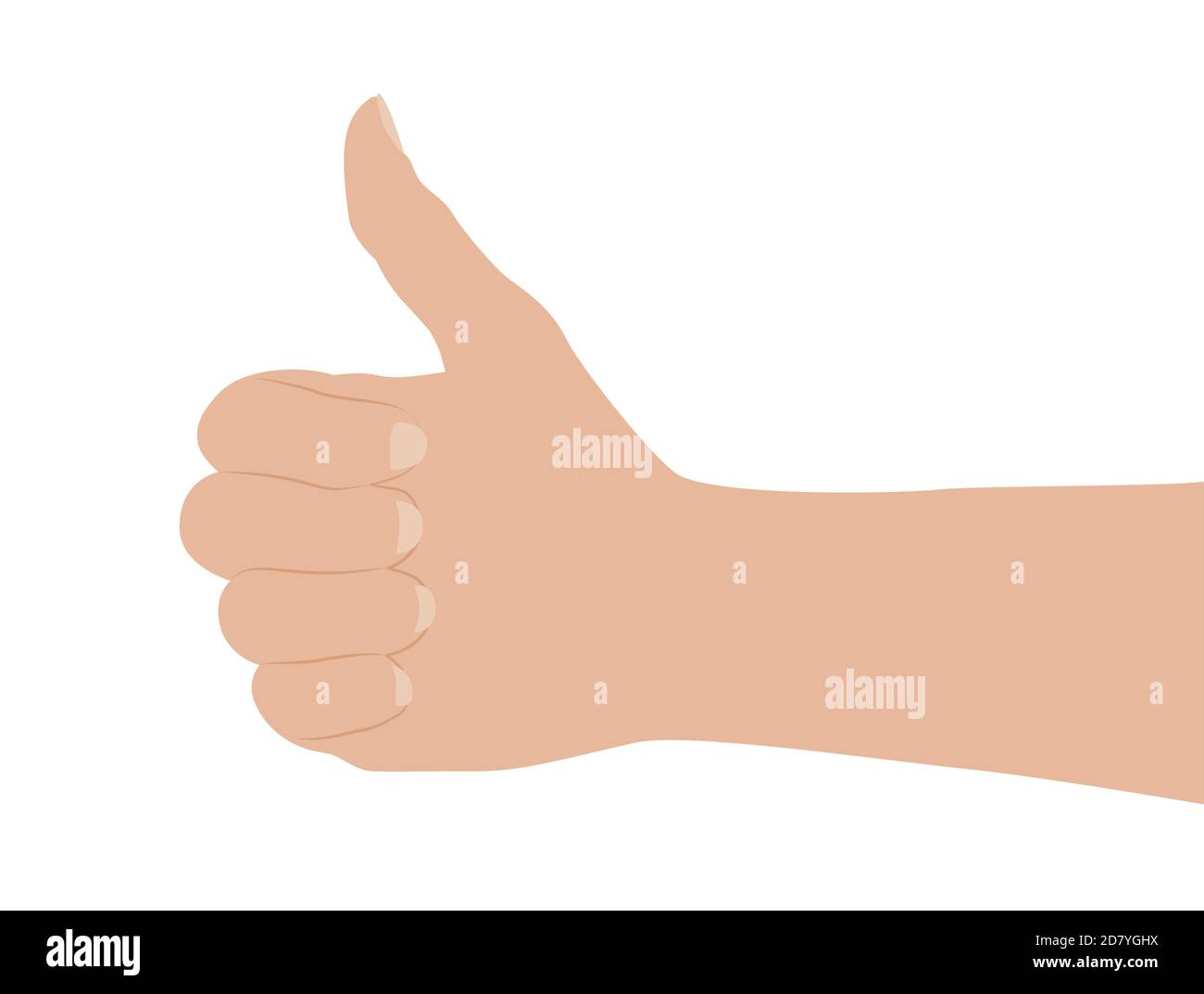 Woman hand on white background, flat design vector illustration Stock ...