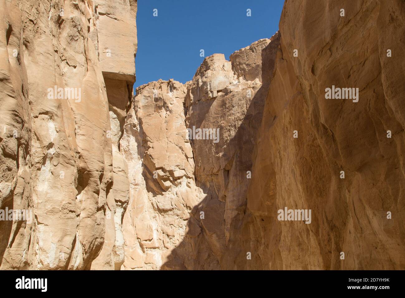 White canyon with yellow rocks, sunny day. Egypt, desert, the Sinai ...