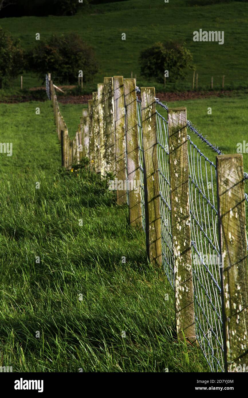 Fence disappearing into distance Stock Photo - Alamy