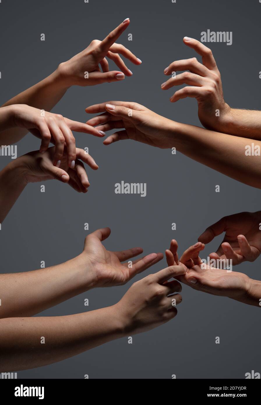 Feelings. Hands of people's crows in touch isolated on grey studio ...