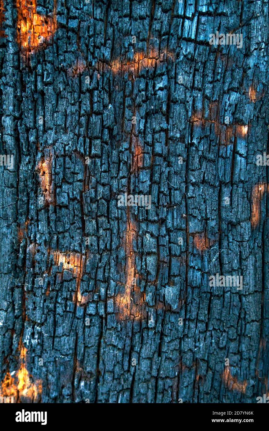 Charred wood texture hi-res stock photography and images - Alamy
