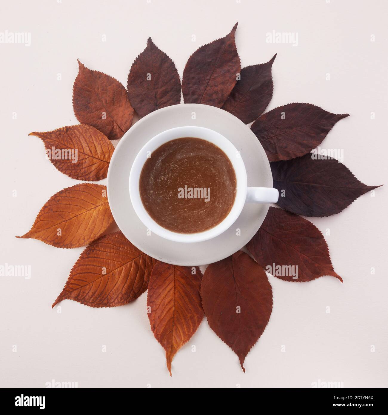 Fall mood hi-res stock photography and images - Alamy