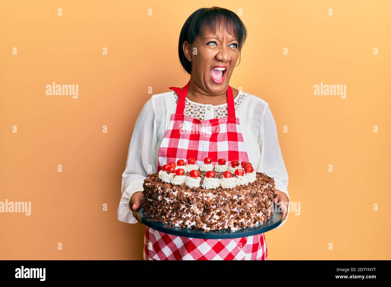 Middle age african american woman wearing baker apron holding homemade ...