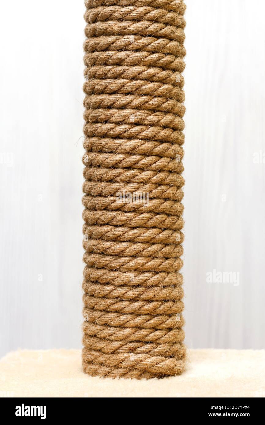Сat tree and furniture, sisal rope cat scratching post on beige carpet ...