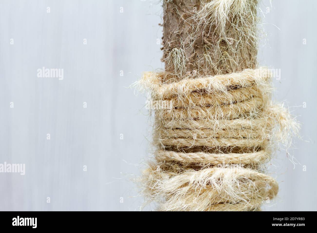 Torn rope hi-res stock photography and images - Alamy