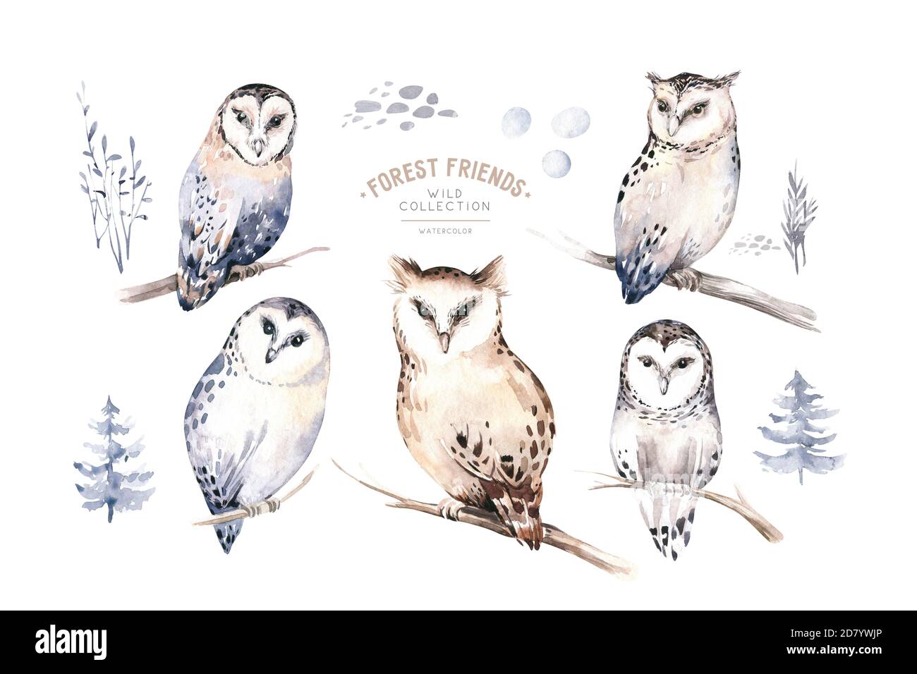 Watercolor winter forest animals owl isolated on white background. Wild ...