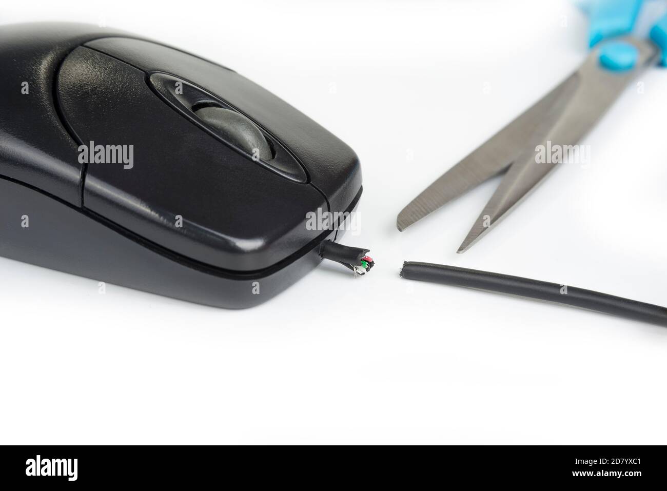 Computer mouse with cut off cable on a white Stock Photo - Alamy