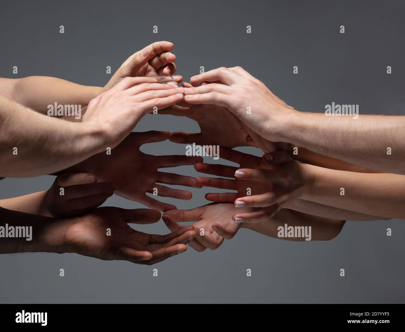 Rescuing. Hands of people's crows in touch isolated on grey studio ...