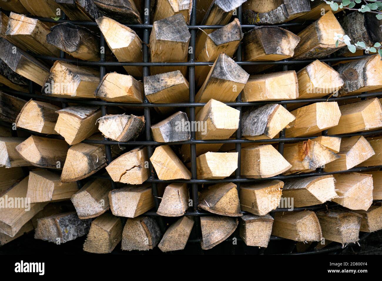 birch firewood is inserted into wire cells Stock Photo - Alamy