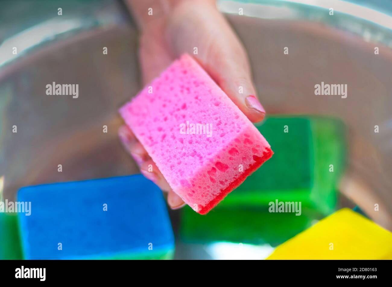 female hand with manicure select a foam sponge for cleaning kitchen on ...